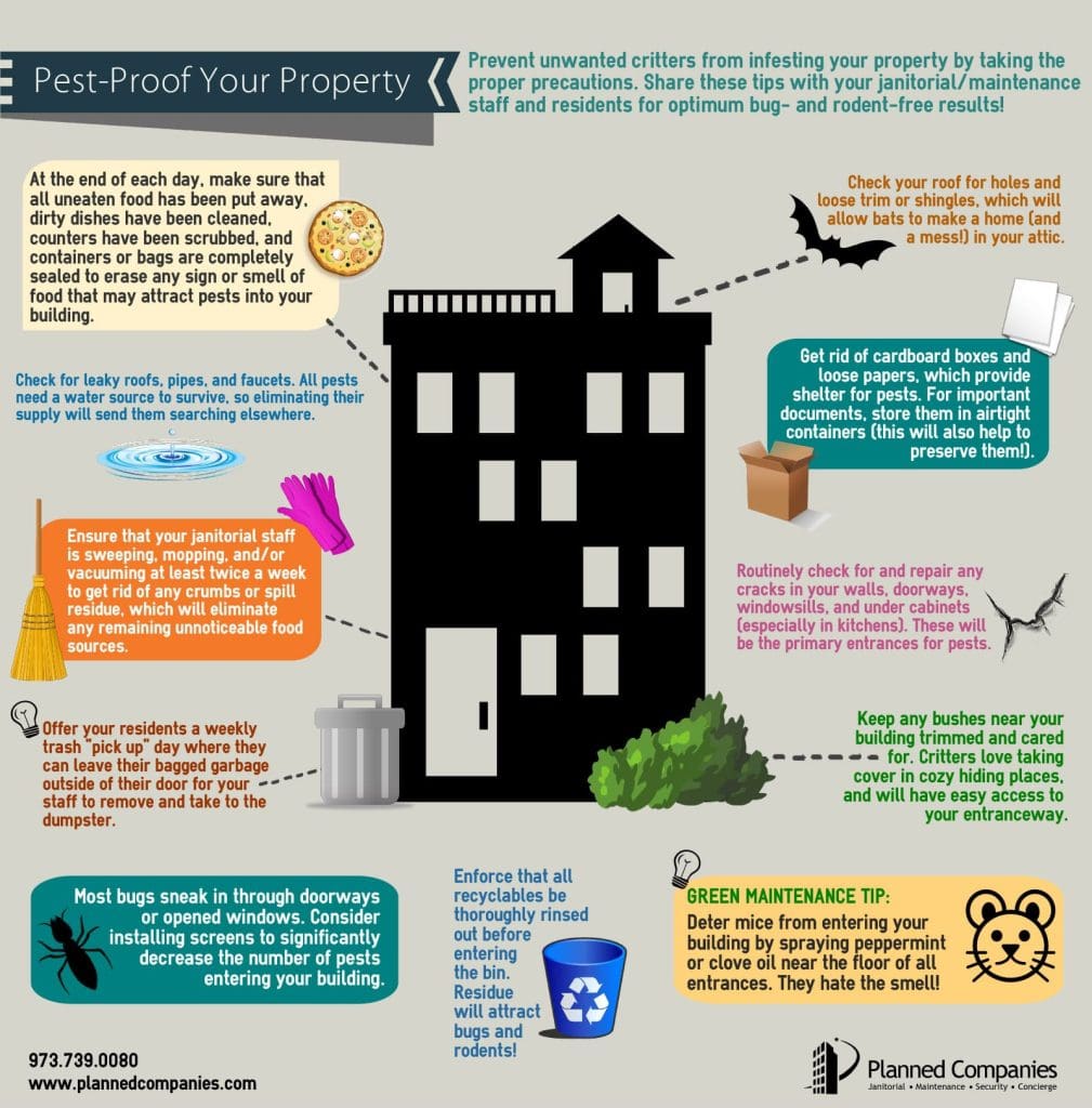 Pest-Proof Your Property (Infographic) | Planned Companies